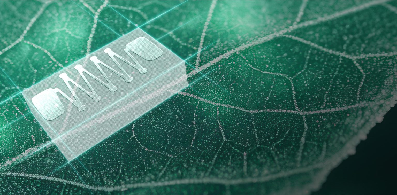 CCELL 3.0 Bio-Heating | CCELL® Certified Official UK And European ...